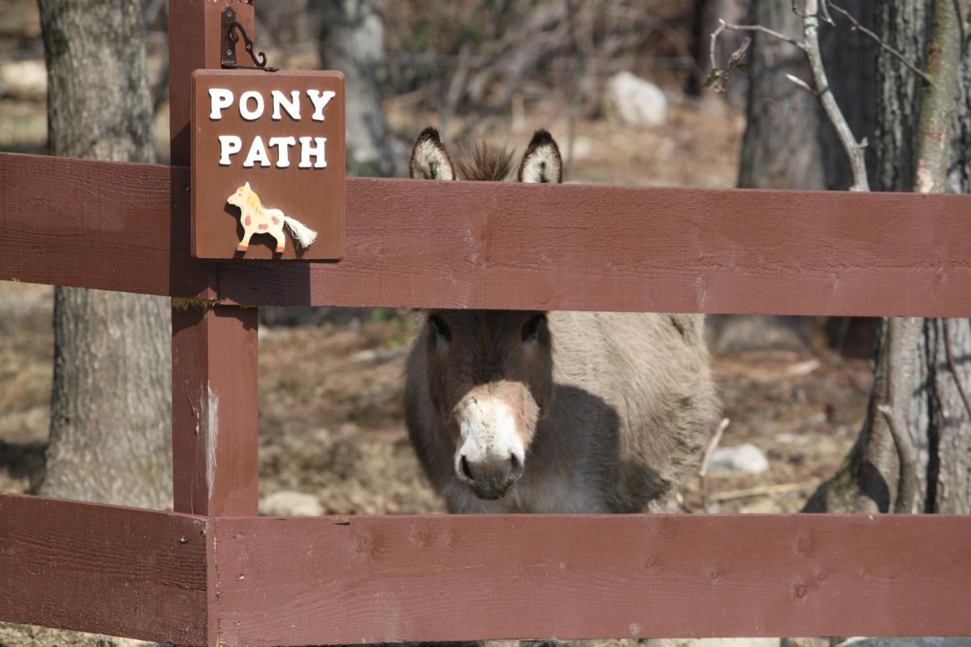 New FAQ Search Feature | Cornerstone Ranch