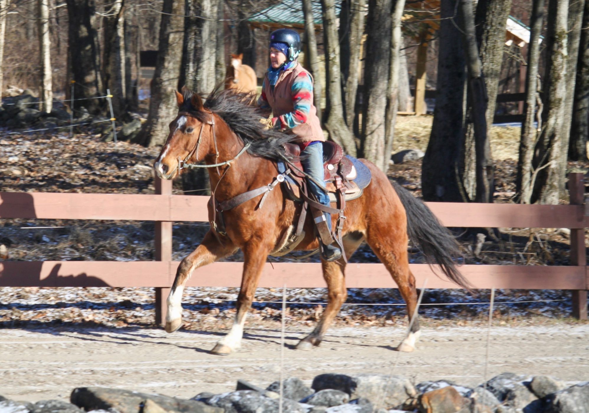 Benefits of Horse Riding | Cornerstone Ranch