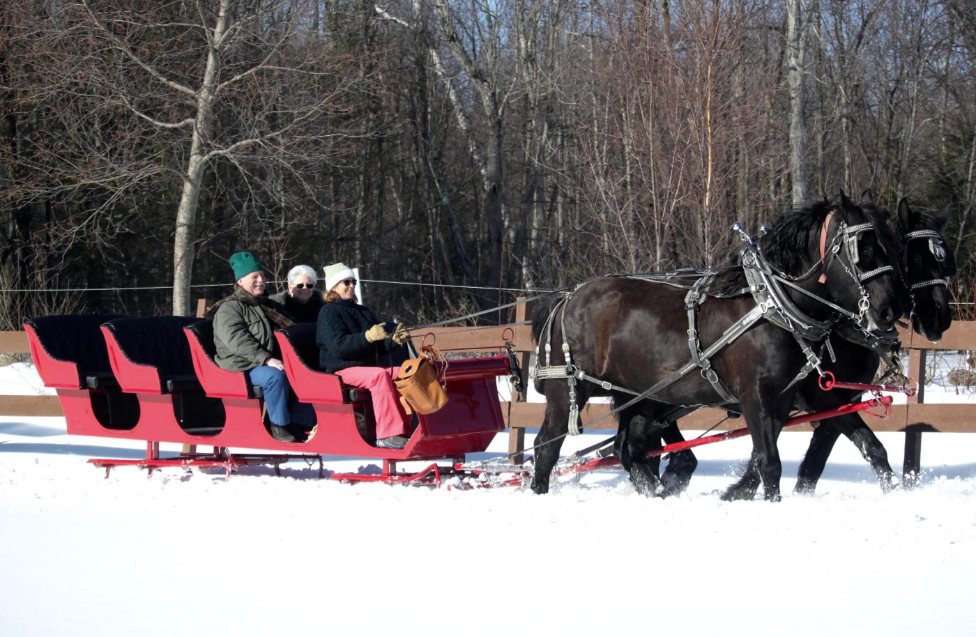 Test Your Knowledge About Driving Horses | Cornerstone Ranch Test Your Knowledge About Driving Horses | Cornerstone Ranch