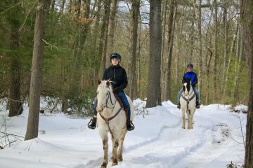Guided Horseback Trail Ride in Princeton, MA | Cornerstone Ranch