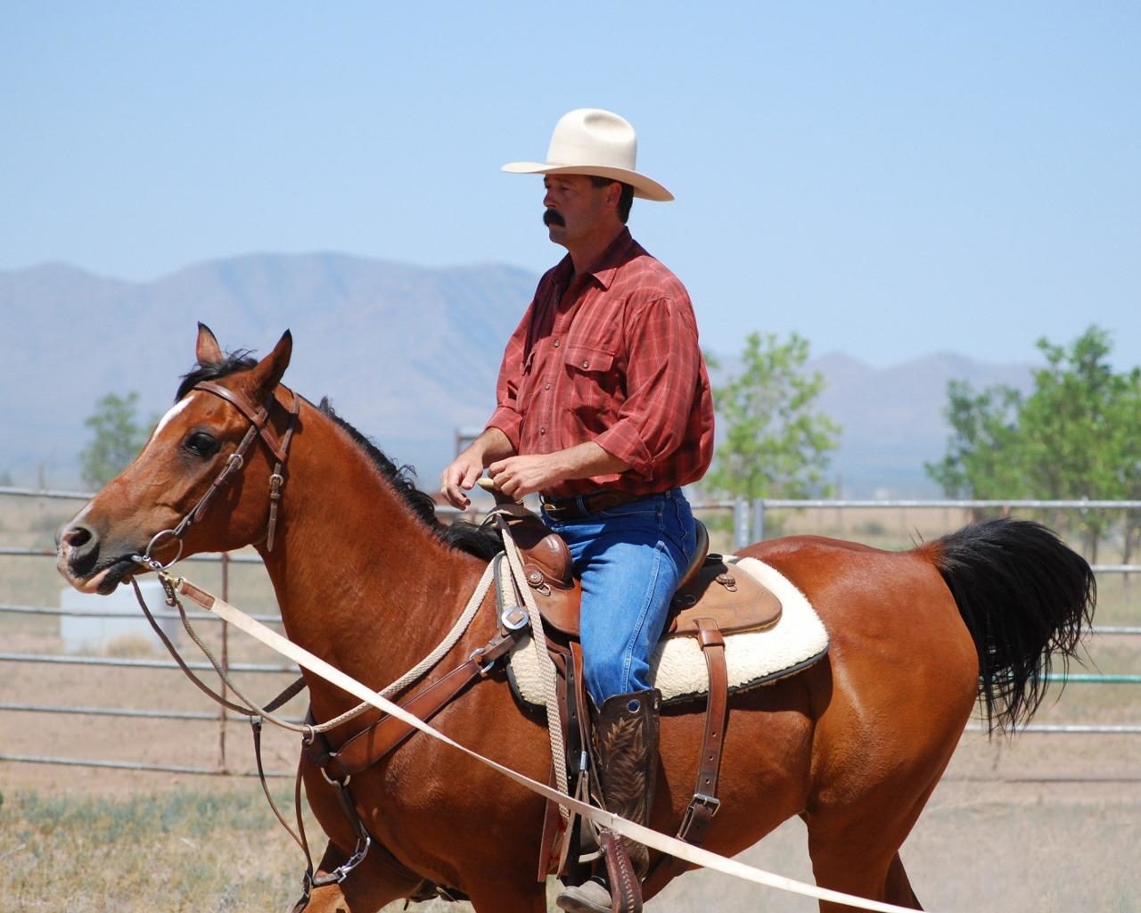 Lunge Line Riding Lesson | Cornerstone Ranch