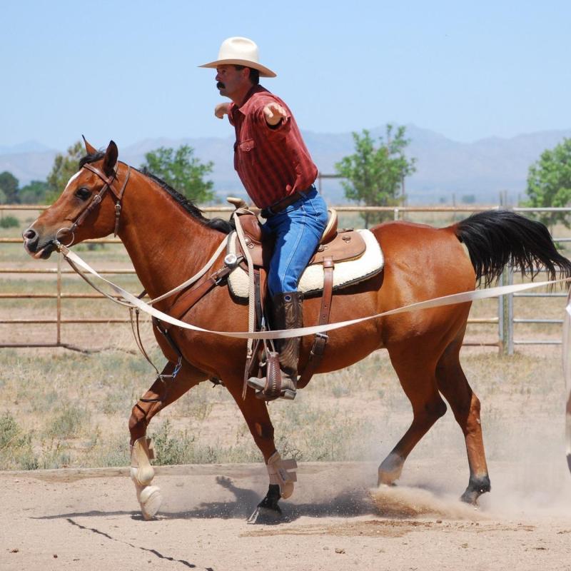 Cornerstone Ranch | Horseback Riding in Princeton, MA