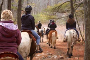 Guided Horseback Trail Ride in Princeton, MA | Cornerstone Ranch