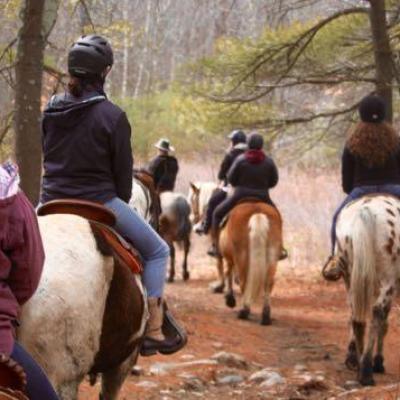 Cornerstone Ranch | Horseback Riding in Princeton, MA