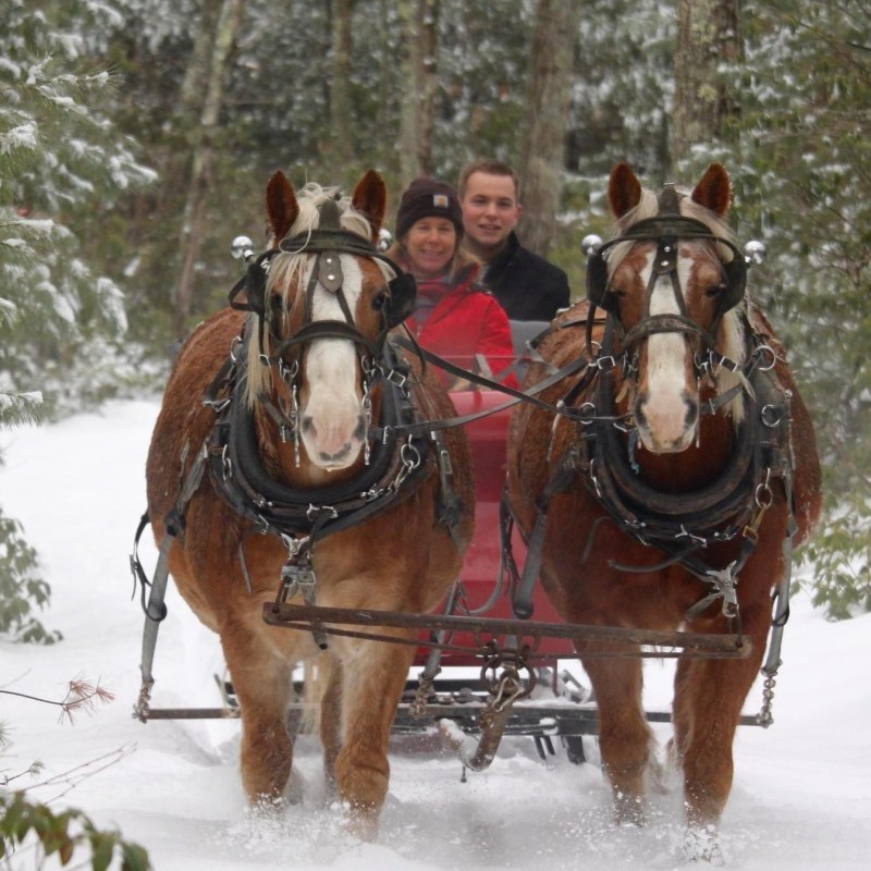 Cornerstone Ranch | Horseback Riding in Princeton, MA