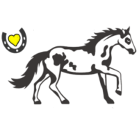 Guided Horseback Trail Ride in Princeton, MA | Cornerstone Ranch