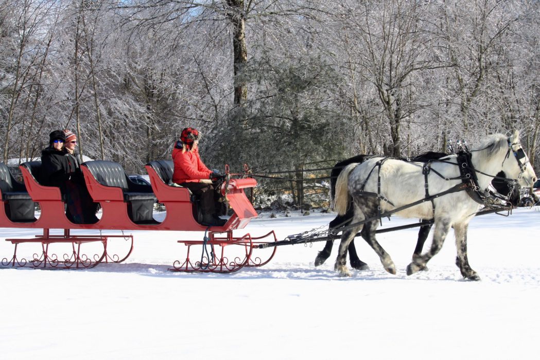 Horse Drawn Sleigh Ride - Princeton, MA | Cornerstone Ranch