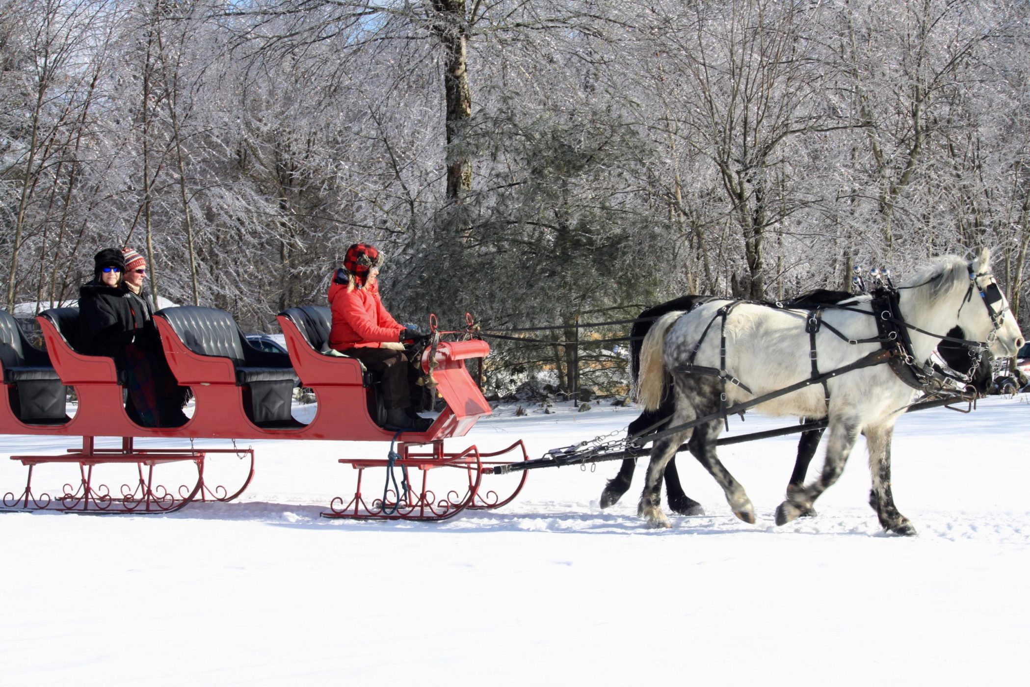Horse Drawn Sleigh Ride - Princeton, MA | Cornerstone Ranch