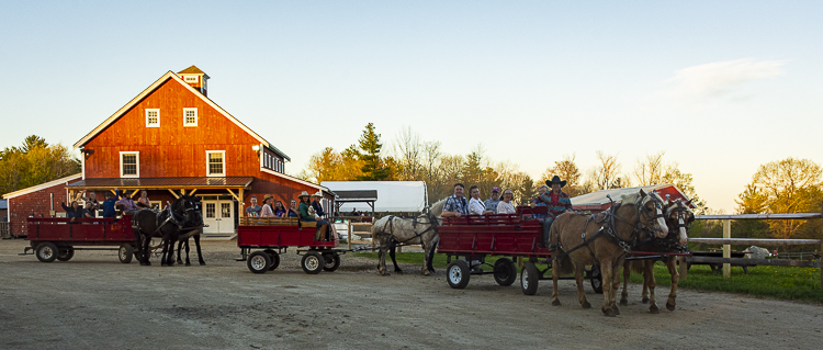 Riding Clinic Teaches Stock Seat At Cornerstone | Cornerstone Ranch
