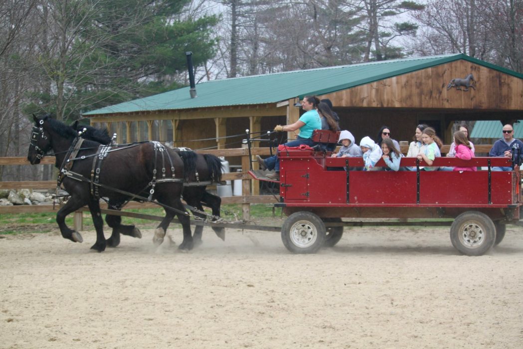 Horse-drawn rides | Cornerstone Ranch