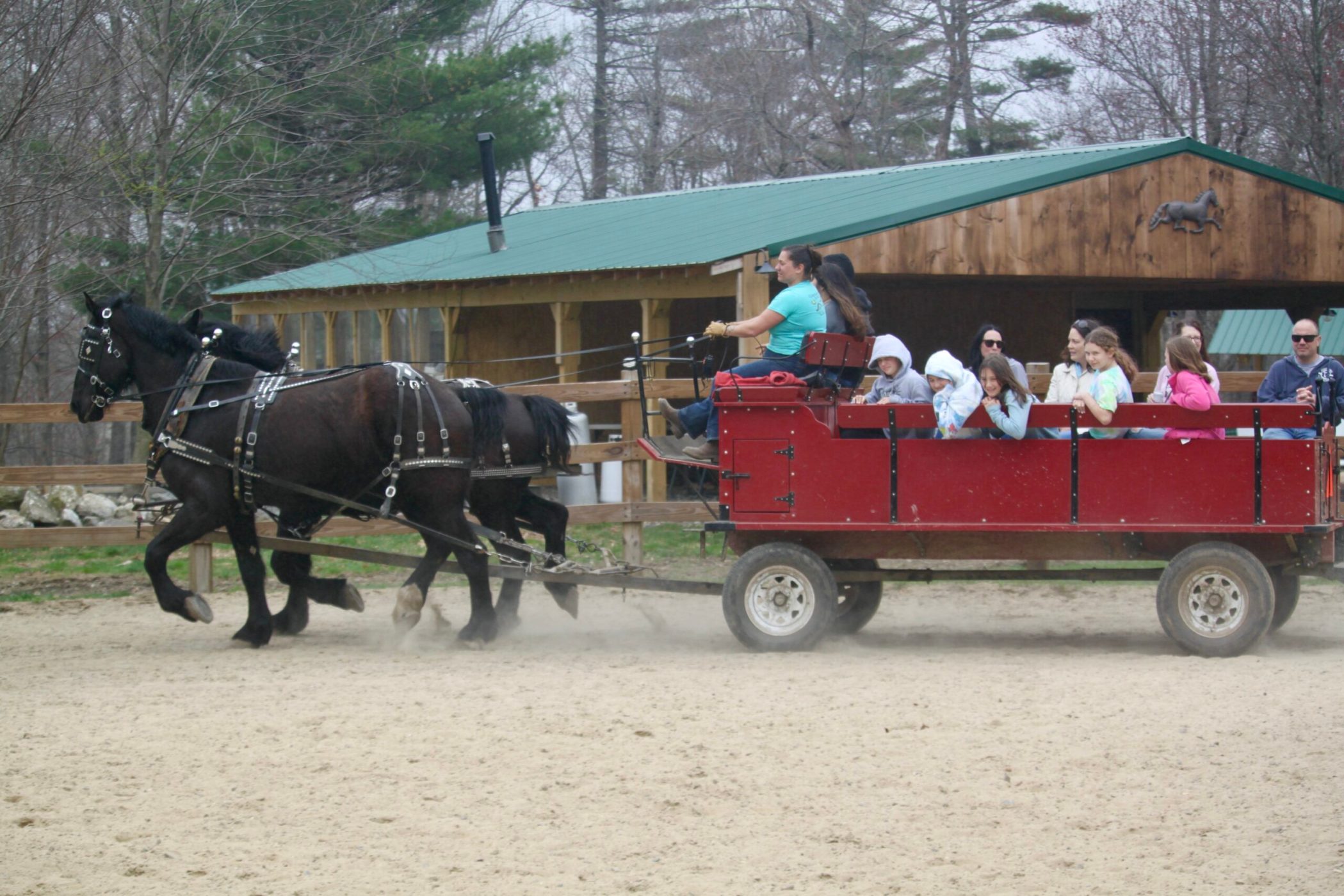 Horse Drawn Wagon Rides