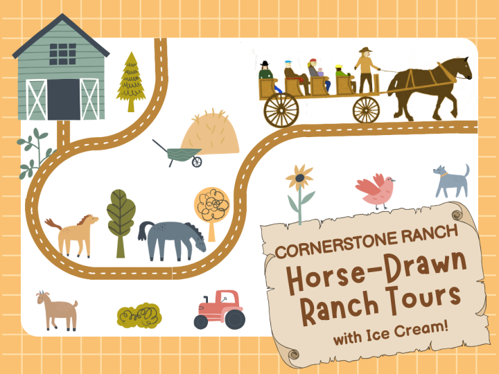 Cornerstone Ranch | Horseback Riding in Princeton, MA