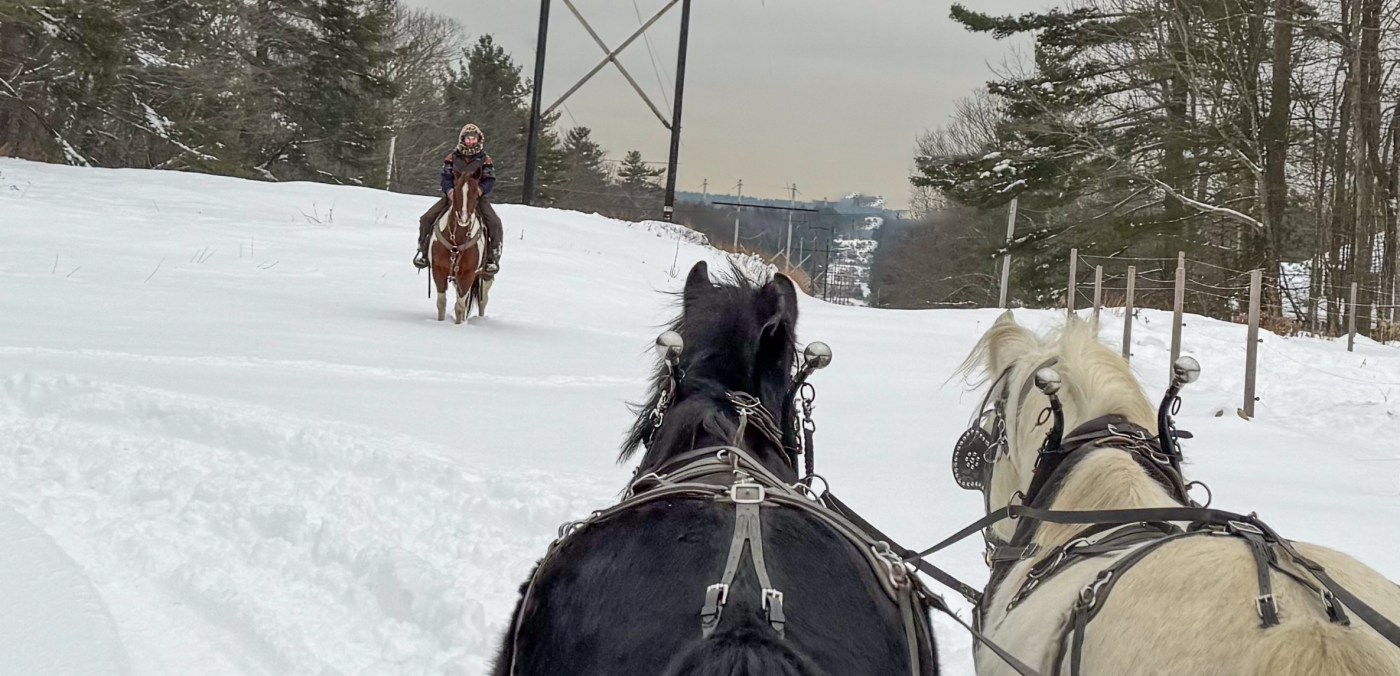 Horses Are The Best Farm Animal | Cornerstone Ranch