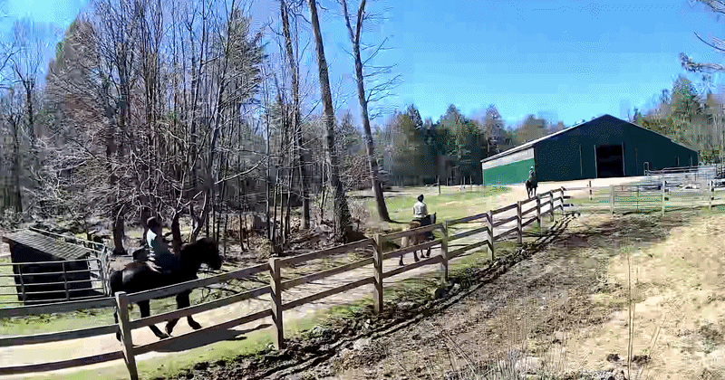 Cornerstone Ranch | Horseback Riding in Princeton, MA
